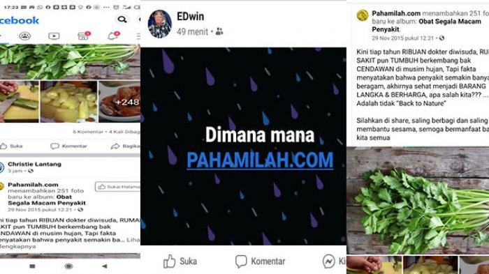 VIRAL, Postingan Pahamilah.com Penuhi Beranda Facebook, Netizen: Ini ...