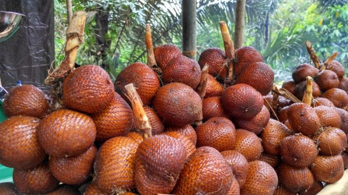 Siapa Sangka Buah Salak Ternyata Bisa Turunkan Berat Badan, Punya Banyak Manfaat bagi Kesehatan ...