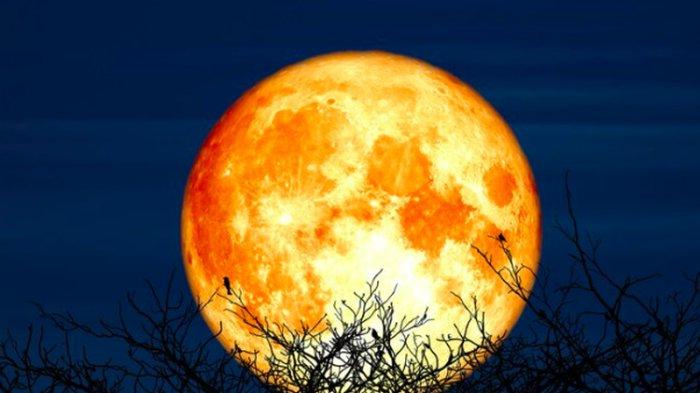 Sturgeon Moon Akan Jadi Fenomena Supermoon Terakhir Tahun Ini, Bisa ...