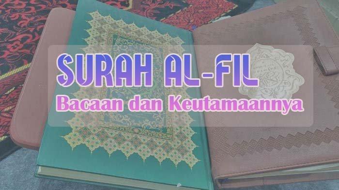 Amalkan Surah Al-Fil, Berikut Bacaan dan Keutamaannya - Tribunmanado.co.id