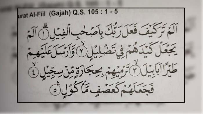 Amalkan Surah Al Fil, Ini Keutamaannya, Lengkap Bacaan - Tribunmanado.co.id
