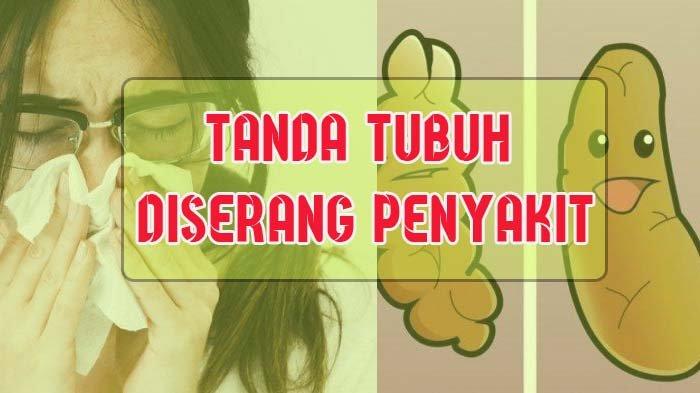 Tanda-tanda Ada Masalah Kesehatan pada Tubuh, Cek Warna Ingus dan Tinja ...