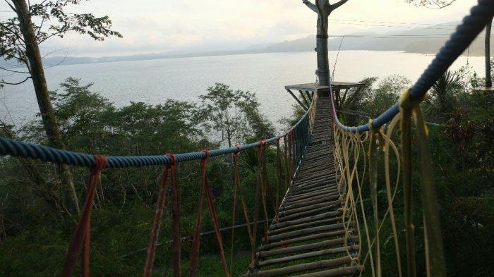 Tree House Urongo, Wisata yang Sempat Viral Begini Kondisinya Sekarang ...