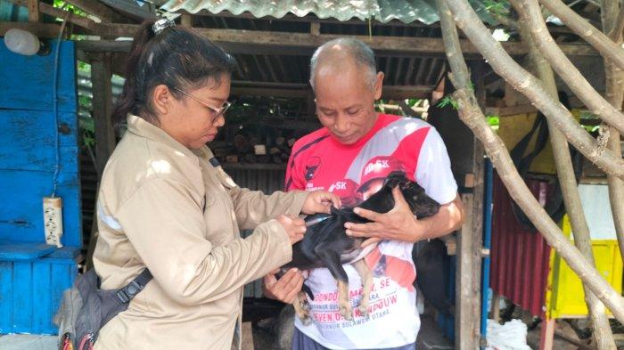 Apa Itu Topi Besar? Program Pemkot Bitung Sulawesi Utara Untuk Tangani ...