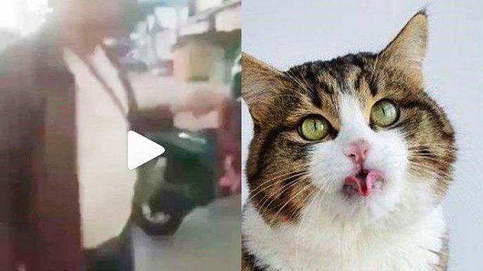 TERUNGKAP Motif Pria Makan Kucing Hidup-hidup, si Abah Gondrong Penjaga Kawasan Pasar ...