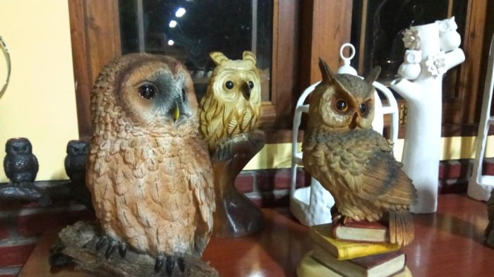 Manguni: Hewan Pilihan Dewi Minerva di Romawi Kuno dan Ko'ko ni ...