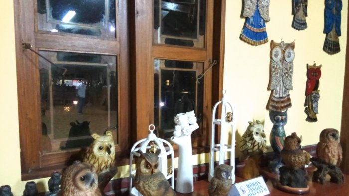 Lihat Foto-fotonya, Aneka Manguni di Wale Manguni Hasil Berburu Benny ...