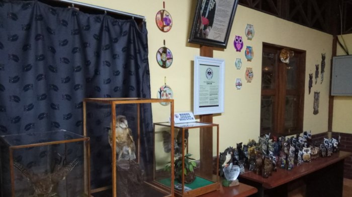 Lihat Foto-fotonya, Aneka Manguni di Wale Manguni Hasil Berburu Benny ...