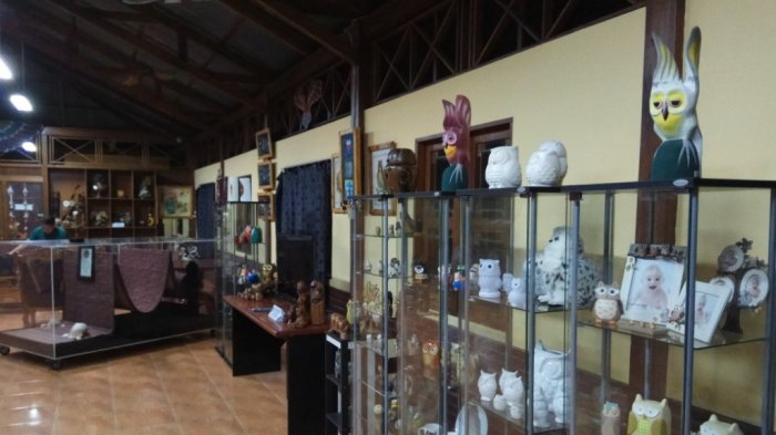 Lihat Foto-fotonya, Aneka Manguni di Wale Manguni Hasil Berburu Benny ...