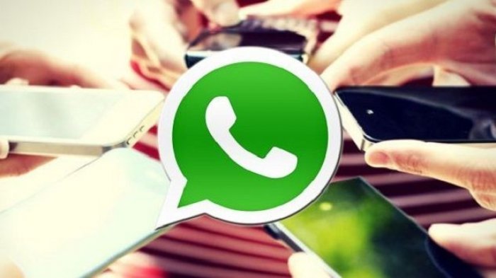Video Call 8 Orang Sudah Bisa di WhatsApp, Simak Begini Caranya ...