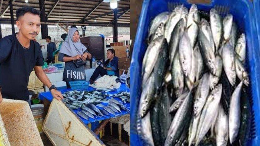 Potret Pasar Mini di Pelabuhan Perikanan Manado Sulawesi Utara ...