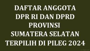 Daftar Lengkap Nama-nama Anggota DPR RI dan DPRD Provinsi Sumatera Selatan Terpilih di Pileg ...