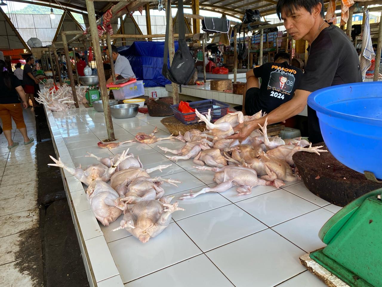 Update Harga Daging Ayam di Pasar Beriman Tomohon Sulawesi Utara ...