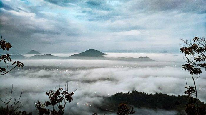 Panorama Wisata Negeri di Atas Awan Bukit Banyon Trenggalek, Manjakan ...