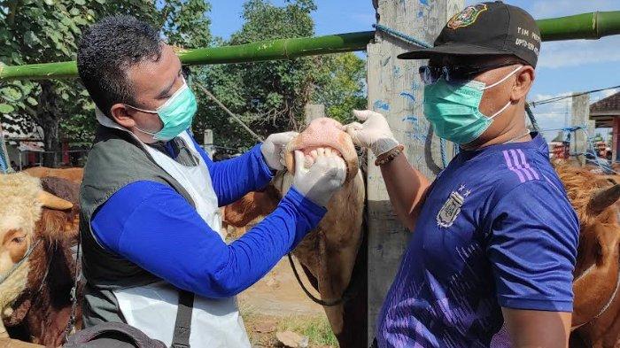 Dalam 2 Pekan, DKPP Kota Blitar Temukan 9 Kasus Penyakit Kulit Pada ...