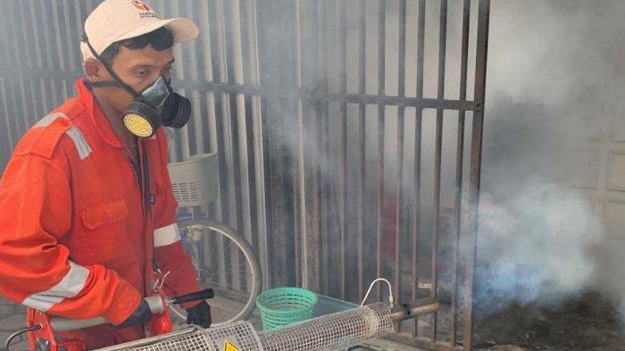 Dinkes Temukan 345 Kasus Chikungunya di Kabupaten Blitar Selama 2024 ...