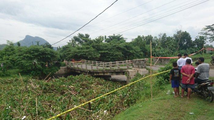 Hutan Gundul Jadi Lahan Jagung Masih Menjadi Sumber Ancaman Bencana ...