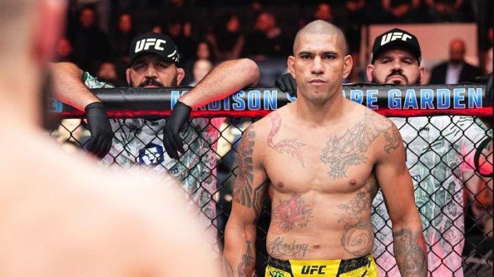 Link Live Streaming Alex Pereira vs Khalil Rountree UFC 307 Live Mola ...