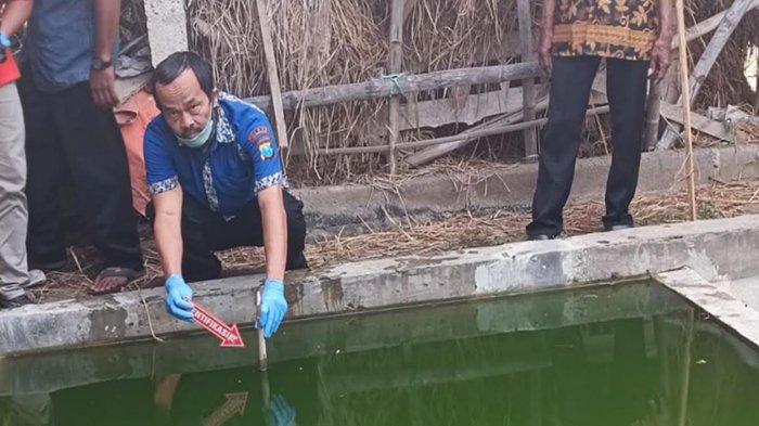 Terulang Lagi, Balita di Tulungagung Tewas Tenggelam di Kolam Ikan - Tribunmataraman.com