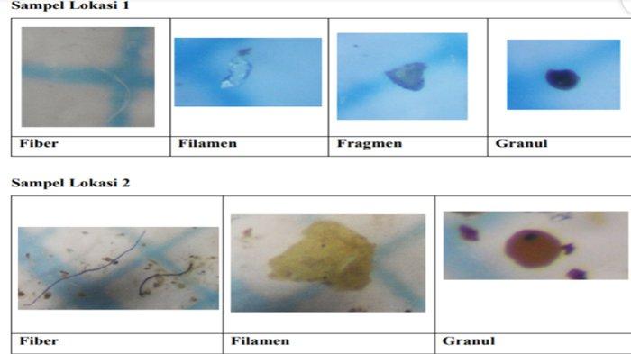 Hasil Uji Sampel Air di Pantai Gerangan Tulungagung, Tercemar ...