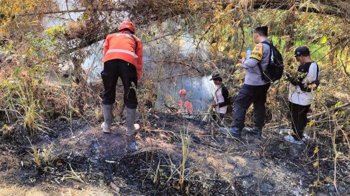 Masuk Daerah Kekeringan dengan Kategori Awas, BPBD Trenggalek Waspadai Kebakaran Hutan ...
