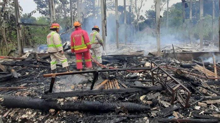 Kandang Berisi 8 Ribu Ekor Ayam di Wajak Malang Ludes Terbakar, Pemilik Rugi Ratusan Juta Rupiah ...