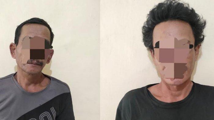 Dua Pria Dibekuk Polisi Usai Curi Benih Tebu di Lahan PTPN I Kediri ...