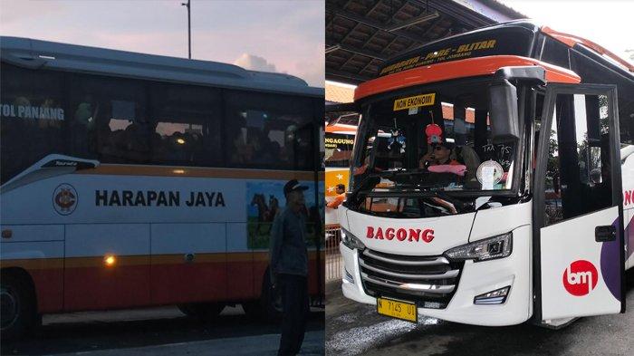 Daftar Tarif Bus Terbaru dari Terminal Purabaya Selama Musim Mudik Lebaran - Tribunmataraman.com