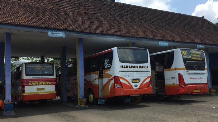 Sopir Angkot dan Bus di Trenggalek Keluhkan Sepinya Penumpang usai BBM ...