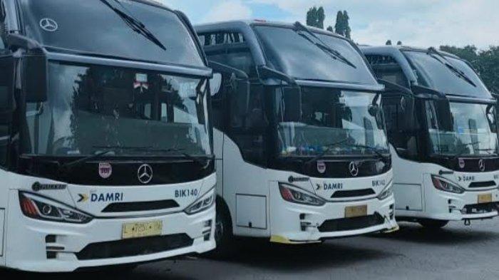 Pemudik Perlu Tahu, Berikut Tarif Bus Damri Terbaru 2023 Dari Bandara ...