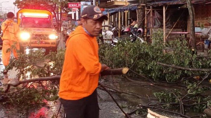 Warga Trenggalek Diminta Waspadai Potensi Bencana Angin Kencang - Tribunmataraman.com