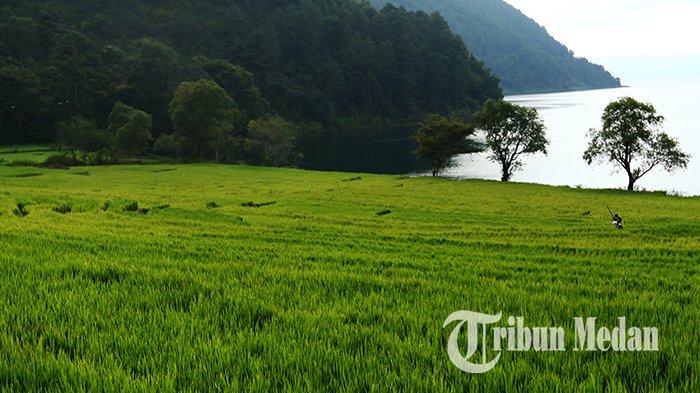 Berita Foto: Pesona Keindahan Alam Desa Meat, juga Menyimpan Warisan ...