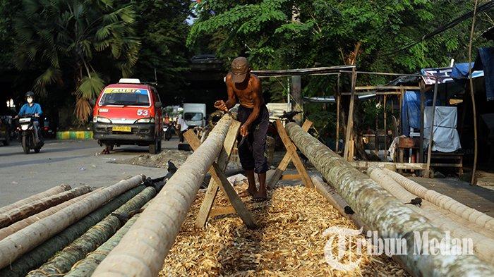 Berita Foto: Penjualan Batang Pohon Pinang untuk Perlombaan Memeriahkan ...