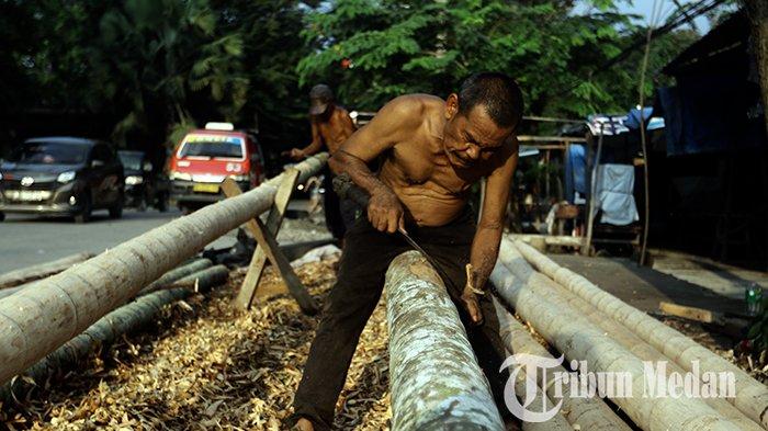 Berita Foto: Penjualan Batang Pohon Pinang untuk Perlombaan Memeriahkan ...