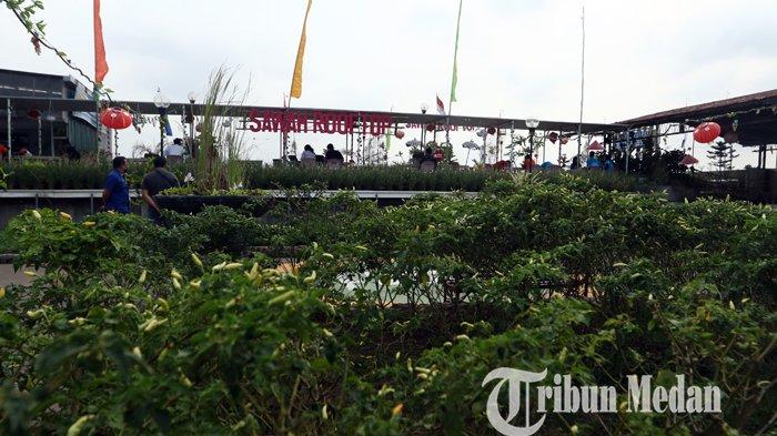 Berita Foto: Kampoeng Millennium AgroPark, Percontohan Pertanian ...