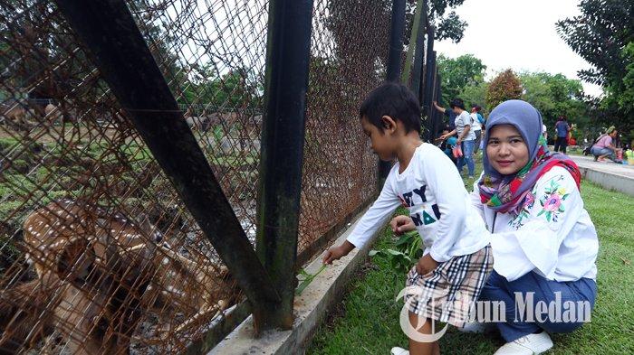 Berita Foto: Wisata Gratis Sembari Melihat Rusa di Taman Kampus ...