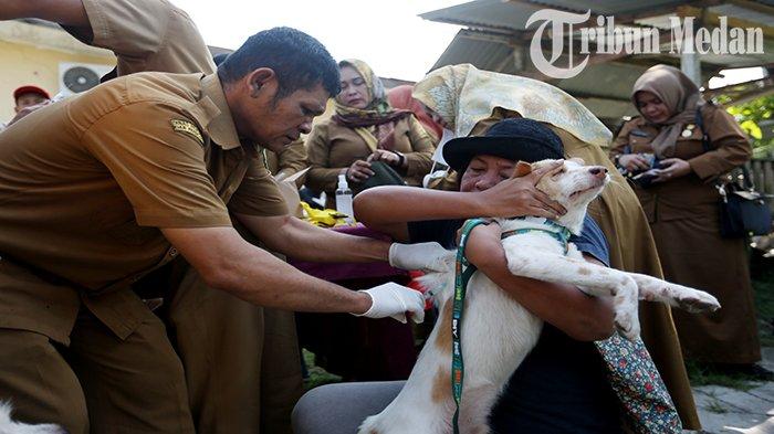 Berita Foto: Wabah Rabies Melanda Medan, Anak Anggota DPRD Sumut ...