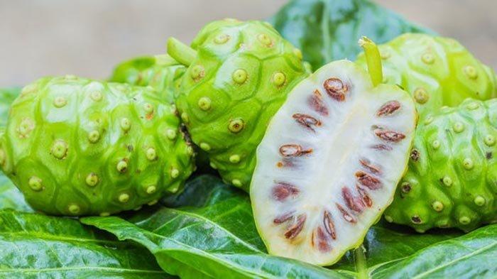 Punya Bau yang Khas, Ini Segudang Manfaat Buah Mengkudu atau Pace ...