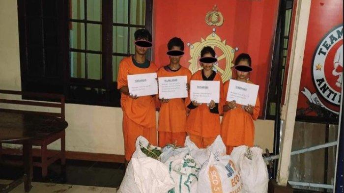 4 Pria dan Wanita Kepergok Curi Cabai Milik Warga hingga 8 Karung ...