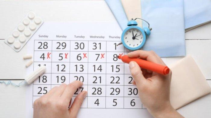 6 Rekomendasi Aplikasi Kalender Menstruasi dan Menghitung Masa Subur ...