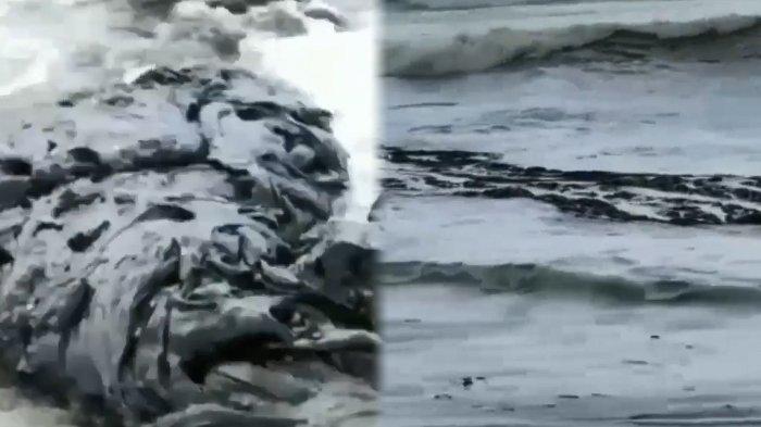 70 Km Pantai di Nias Tercemar Aspal, Tumpah dari Kapal Tangker MV Aashi ...