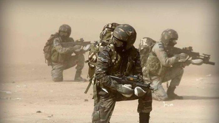 9 Pasukan Khusus Terbaik India Paling Ditakuti Diakui Dunia, Termasuk Cobra dan Force One ...