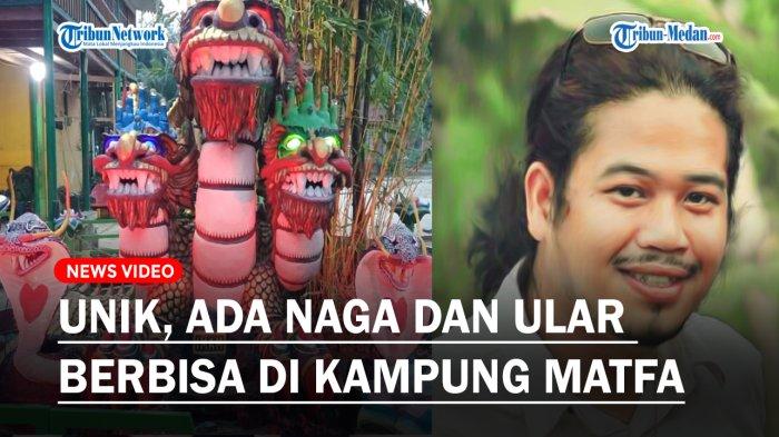 ADA NAGA dan Ular Berbisa di Kampung Matfa, Tuwan Imam: Ini Lambang Keperkasaan dan ...