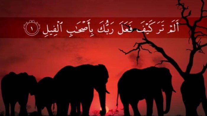 Ayat dan Arti Surah Al-Fil beserta Keutamaaannya - Tribun-medan.com