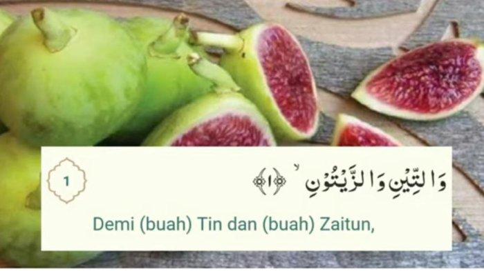 Bacaan, Arti Surat At-Tin Beserta Kandungan dan Maknanya - Tribun-medan.com