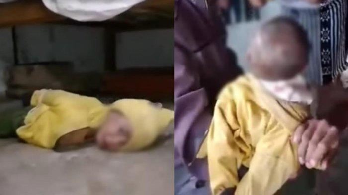 Viral Balita 2 Tahun Disekap Ibu Angkat, Tangan dan Kaki Diikat serta Tubuh Penuh Luka - Tribun ...