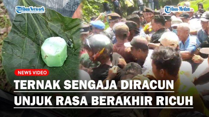 UNJUK RASA RICUH didepan Kantor Perkebunan Sawit Asahan, Warga: Ternak Kami Sengaja Diracun ...