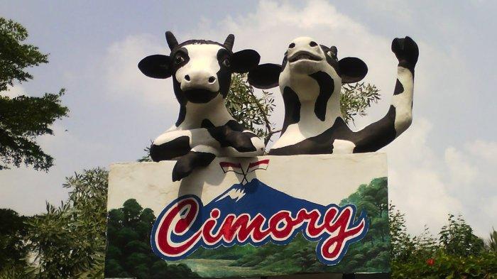 Lowongan Kerja Medan, Cimory Group Buka Loker Sebagai Sales Leader ...