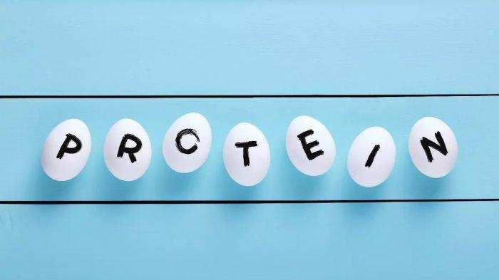 Materi Belajar Kimia : Definisi Protein, Fungsi & Macam-macam struktur ...