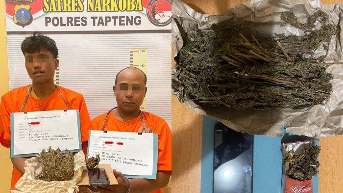 Dua Pria Terduga Pengedar Ganja Ditangkap Satnarkoba Polres Tapteng di Jembatan Kembar Pinang ...